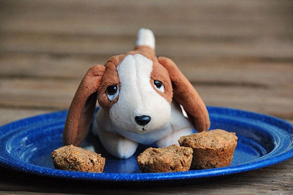 Homemade Dog Treats Made from Kibble! {2 Easy Recipes}