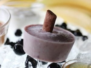 21 Recipes for Pupsicles {Yep, Popsicles for Dogs!}