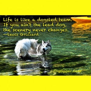 100+ Dog Quotes | DogTipper.com
