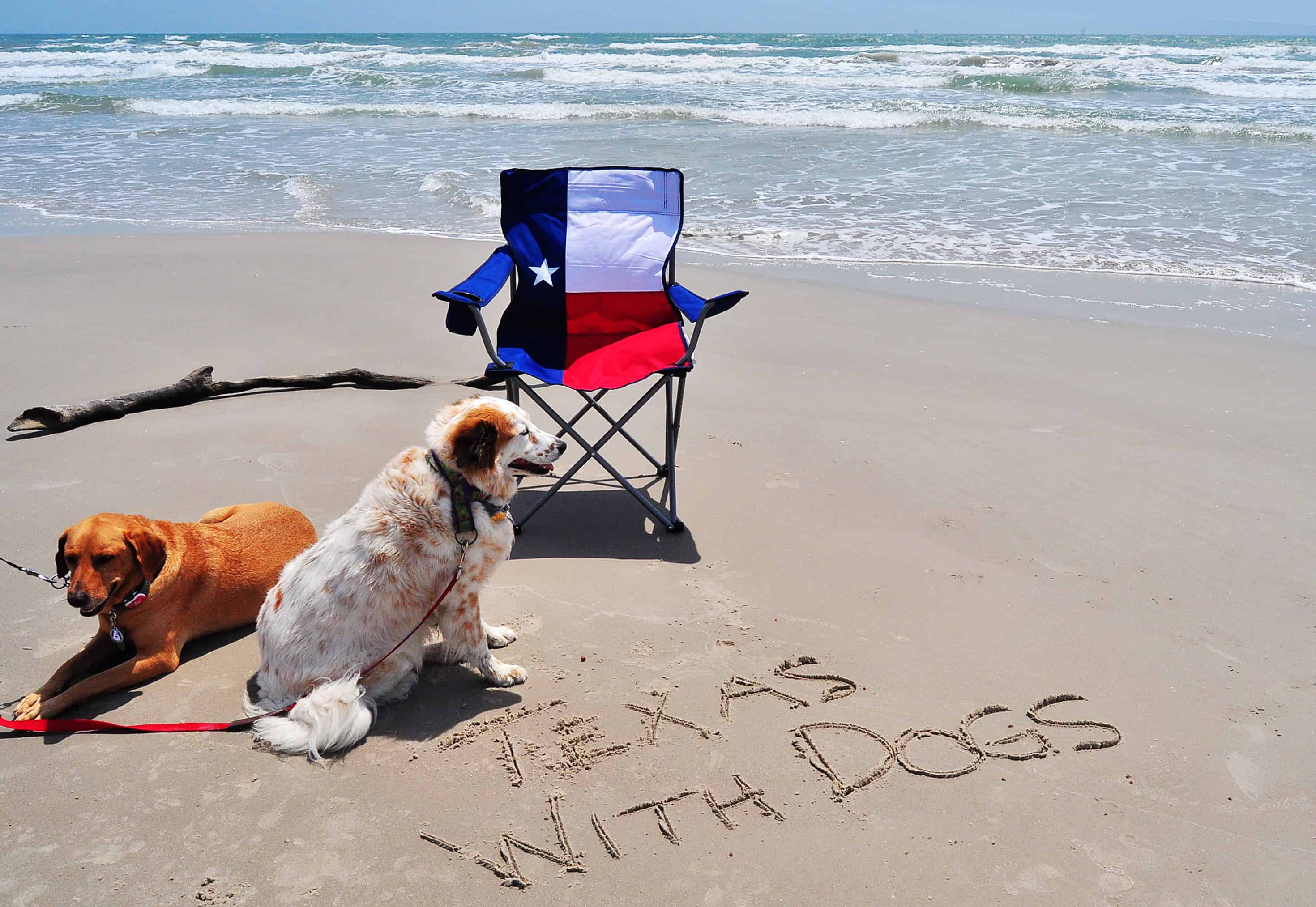 Dog Friendly Texas Travel