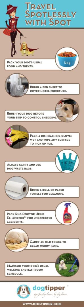 Infographic: Traveling Spotlessly with Spot