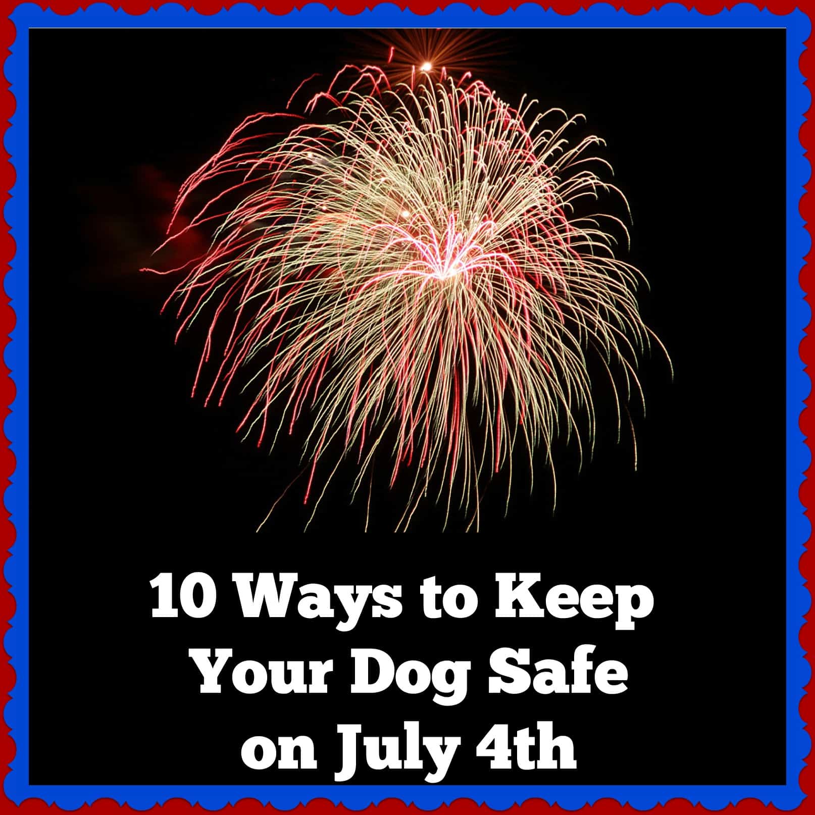 How Do I Keep My Dog Safe During Fireworks