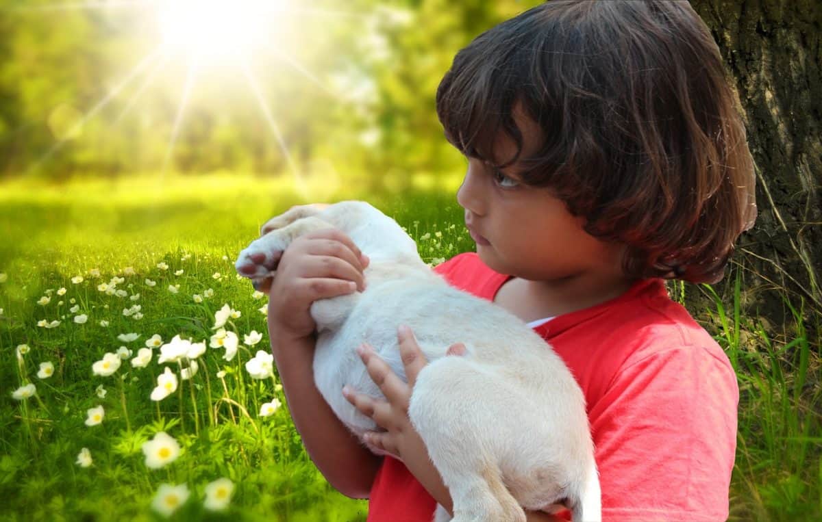 10 Ways Your Dog Can Help a Child Develop Emotional Intelligence