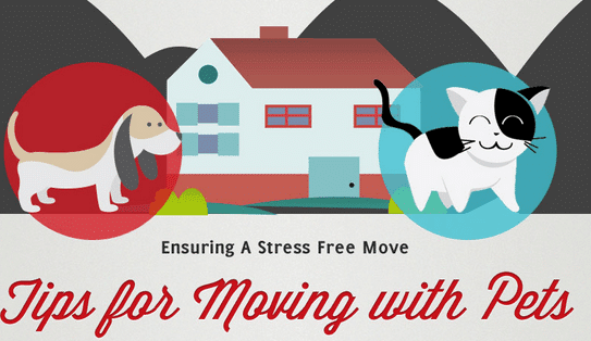 Infographic: Moving with Pets