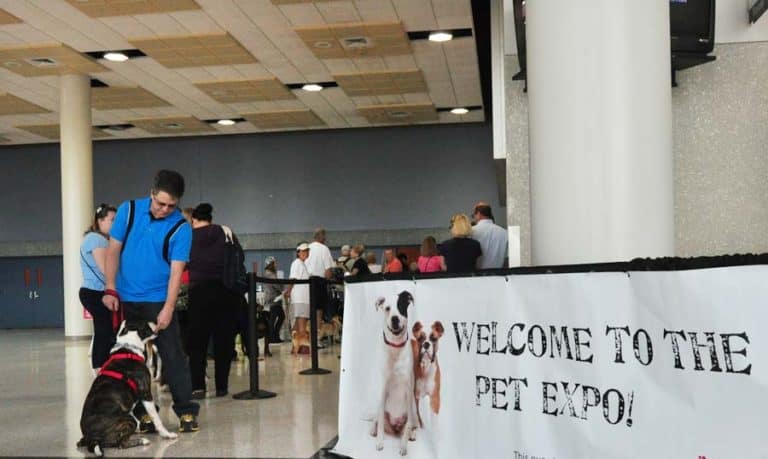 8 Tips for Bringing Your Dog to a Pet Expo