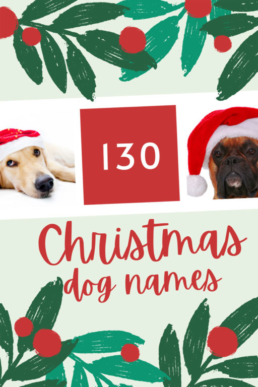 130+ Christmas Dog Names for Holiday Puppies! 130 Christmas Dog Names