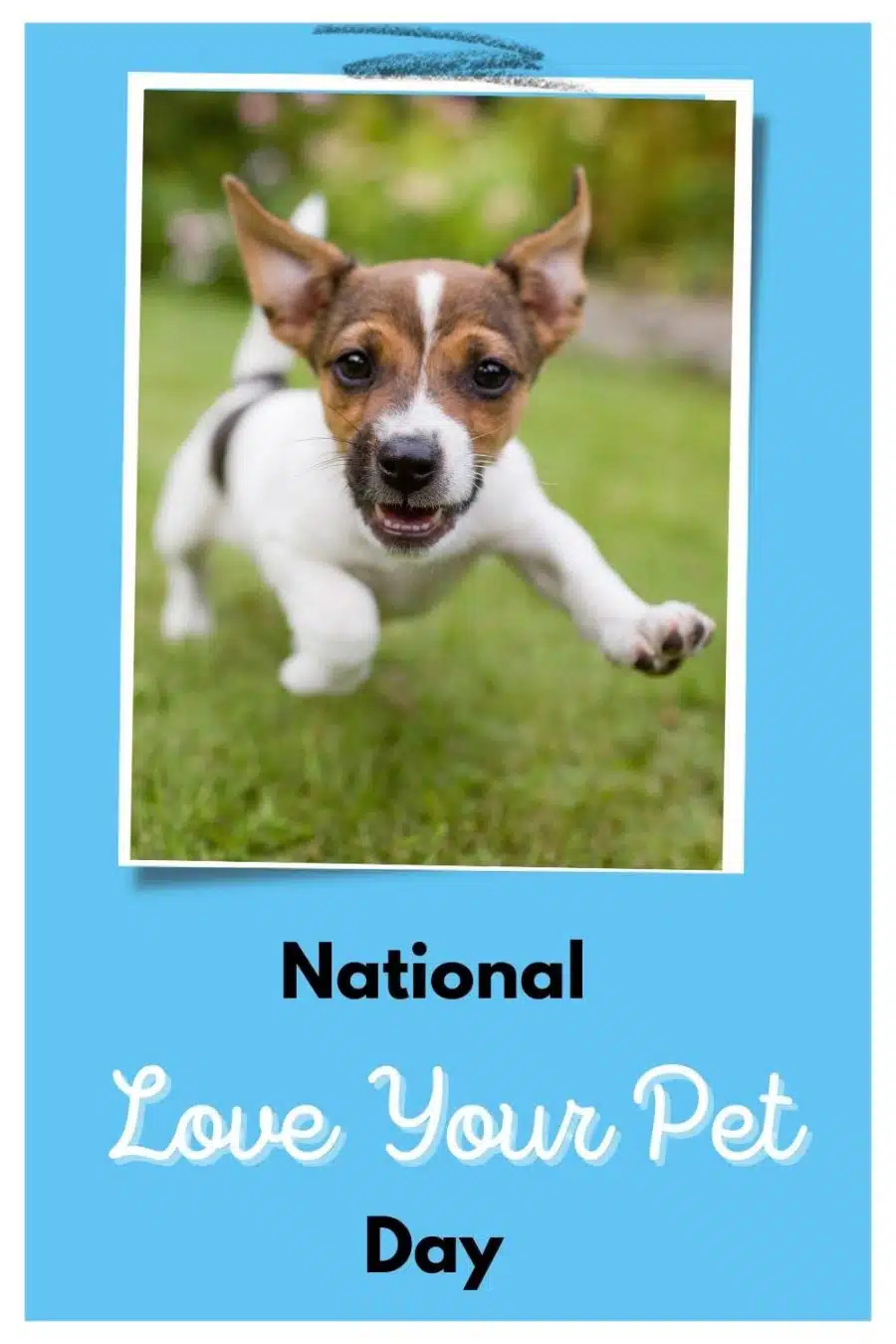 How Do You Celebrate National Love Your Pet Day