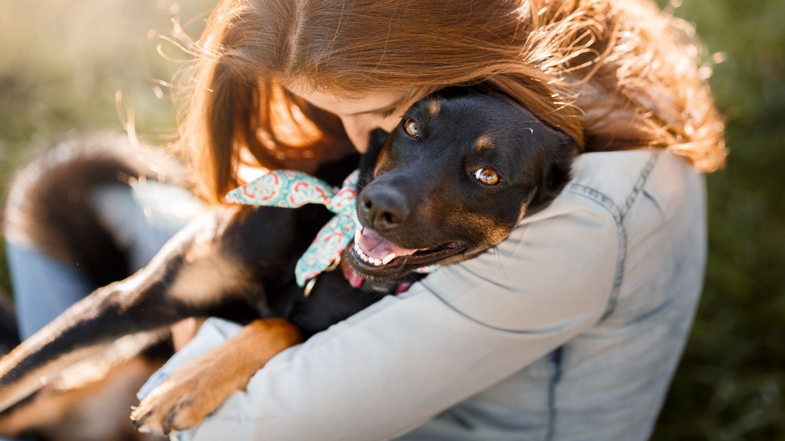 DogTipper: Tips for celebrating life with your dog!