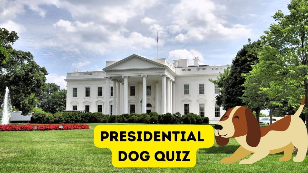 Dogs in Politics Day - QUIZ: How Much Do You Know About Presidents' Dogs?
