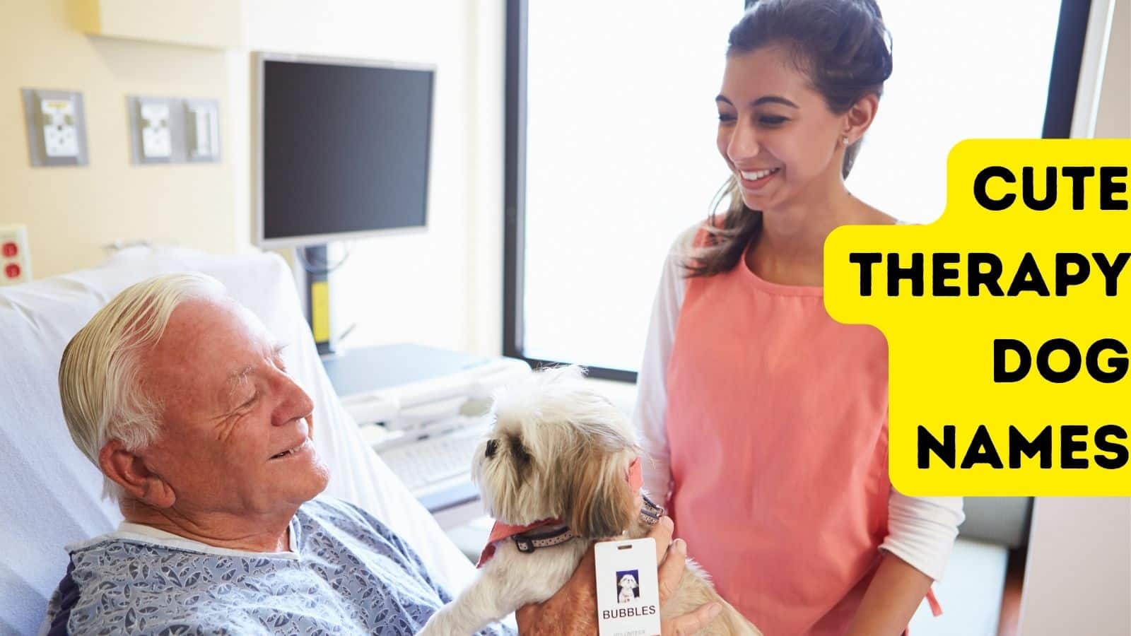 Therapy Dog Names: Names for Your Comforting Canine - Petsyclopedia News