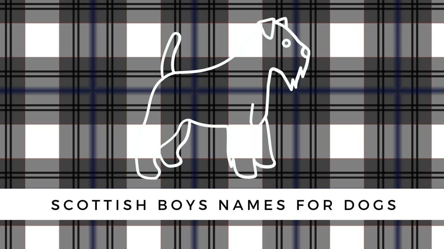 500+ Scottish Dog Names for Your Lad or Lass!
