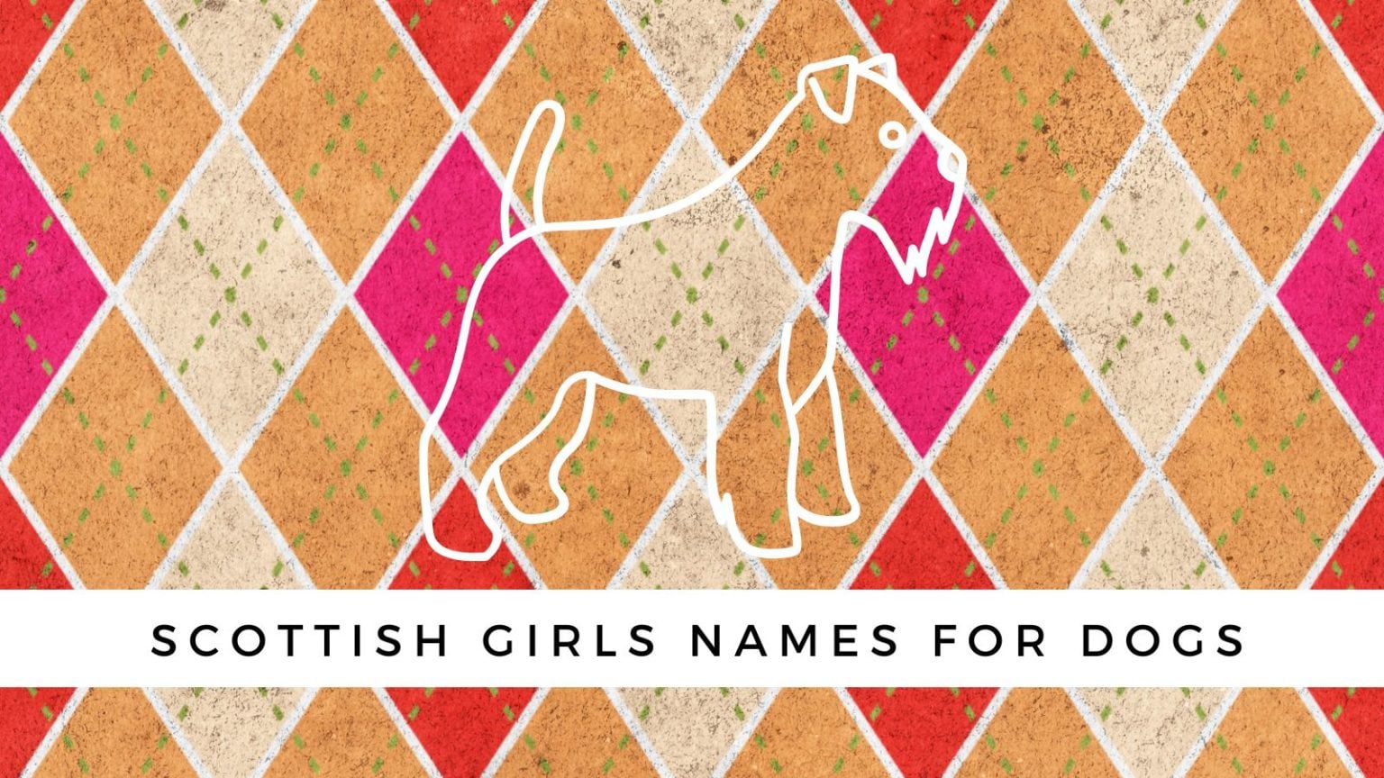 500+ Scottish Dog Names for Your Lad or Lass!