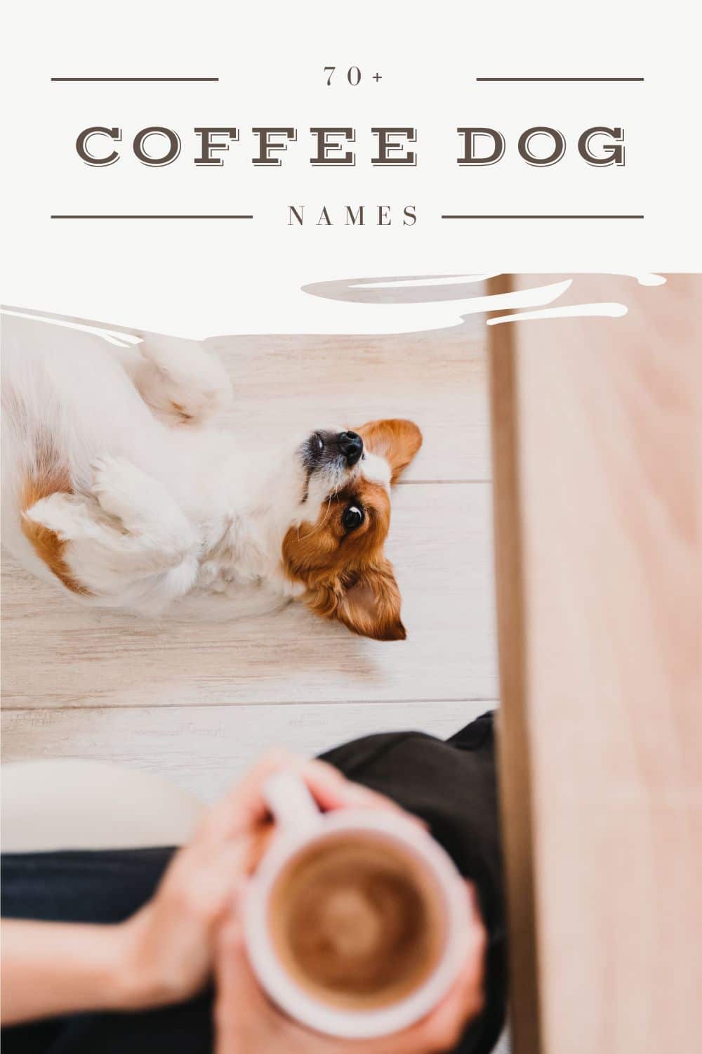 Coffee Dog Names Petsyclopedia News Coffee Dog Names Petsyclopedia News
