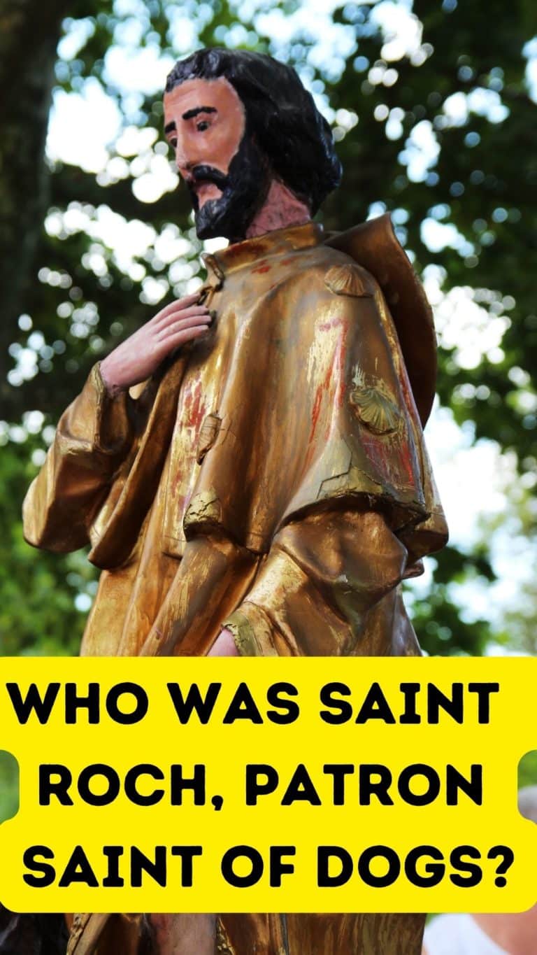 Feast Day of St. Roch, Patron Saint of Dogs