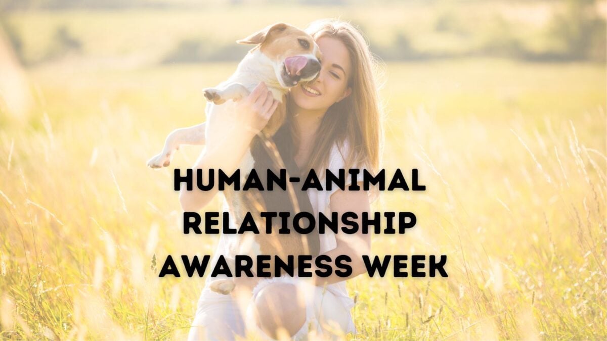 Human-Animal Relationship Awareness Week