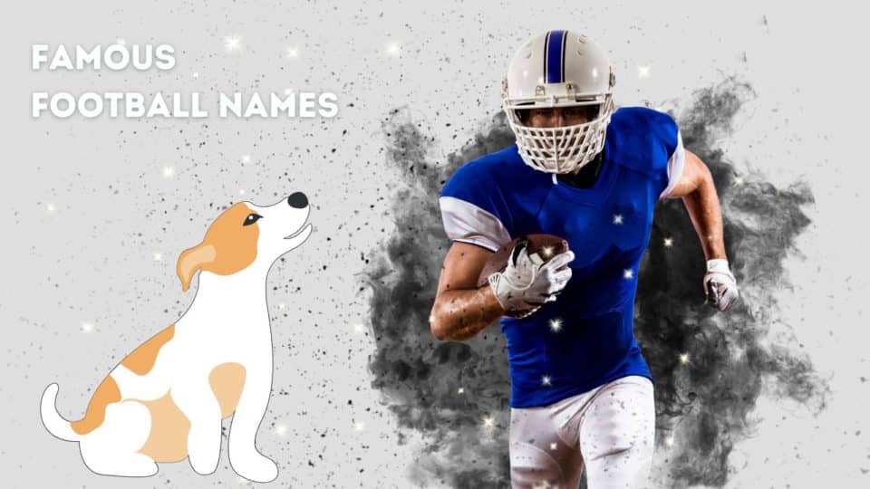 Football Dog Names 🏈 for Your New Teammate!