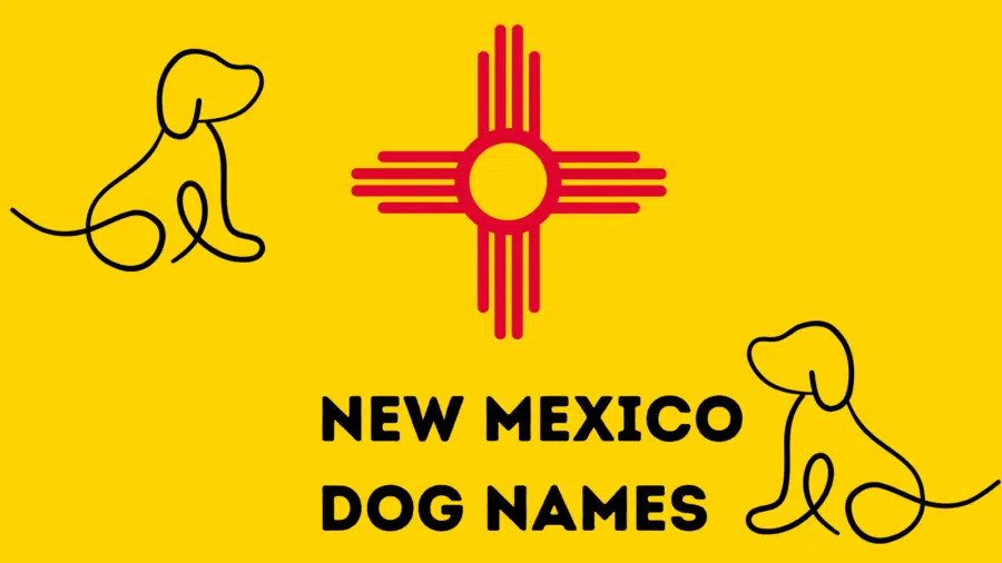 250 New Mexico Canine Names And Meanings Animalonly