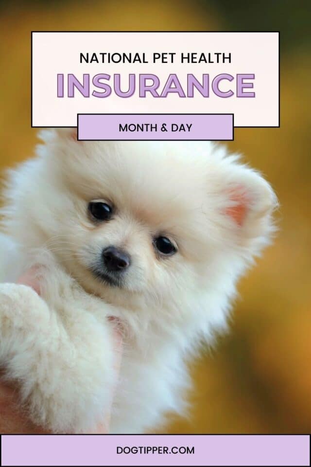 National Pet Insurance Month & Pet Health Insurance Day