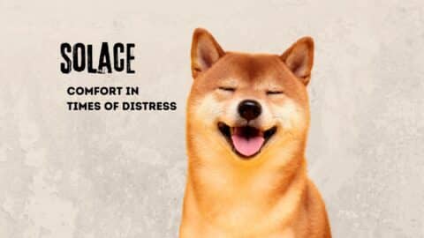 220 Emo Names for Dogs (with Meanings)