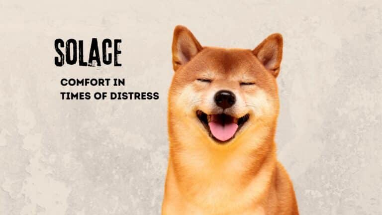 220 Emo Names for Dogs (with Meanings)