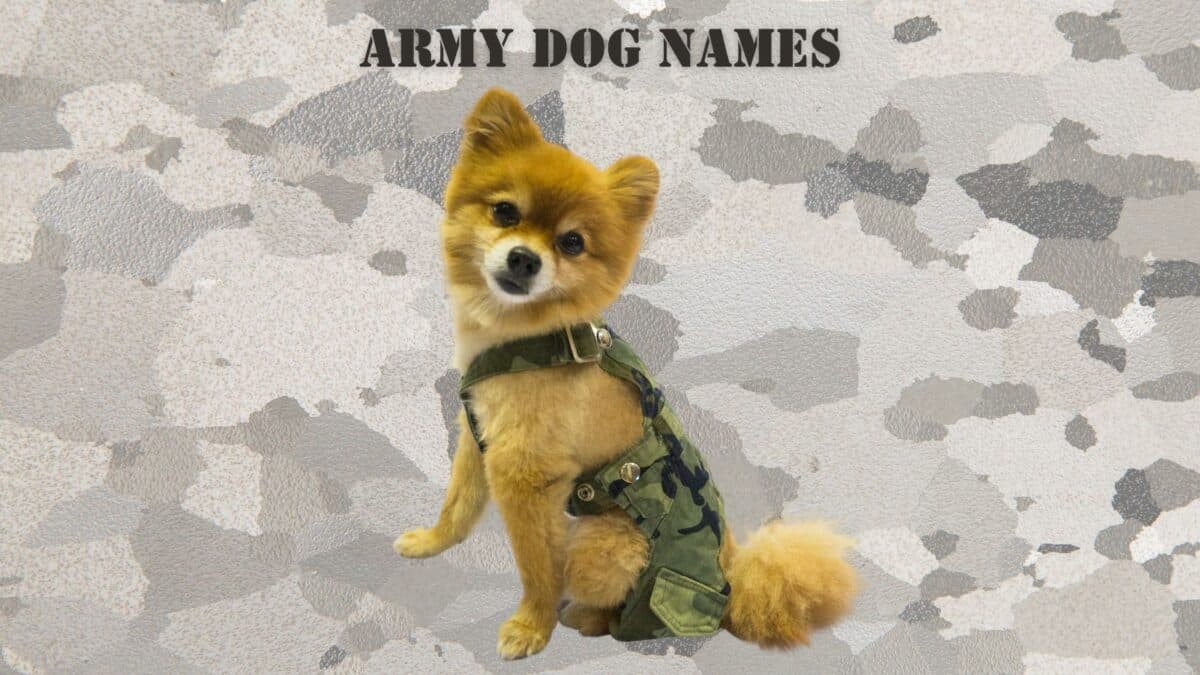 180 Goth Dog Names: Darkly Romantic Choices for Your Pup