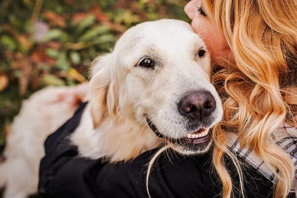 DogTipper: Tips for Celebrating Life with Your Dog!