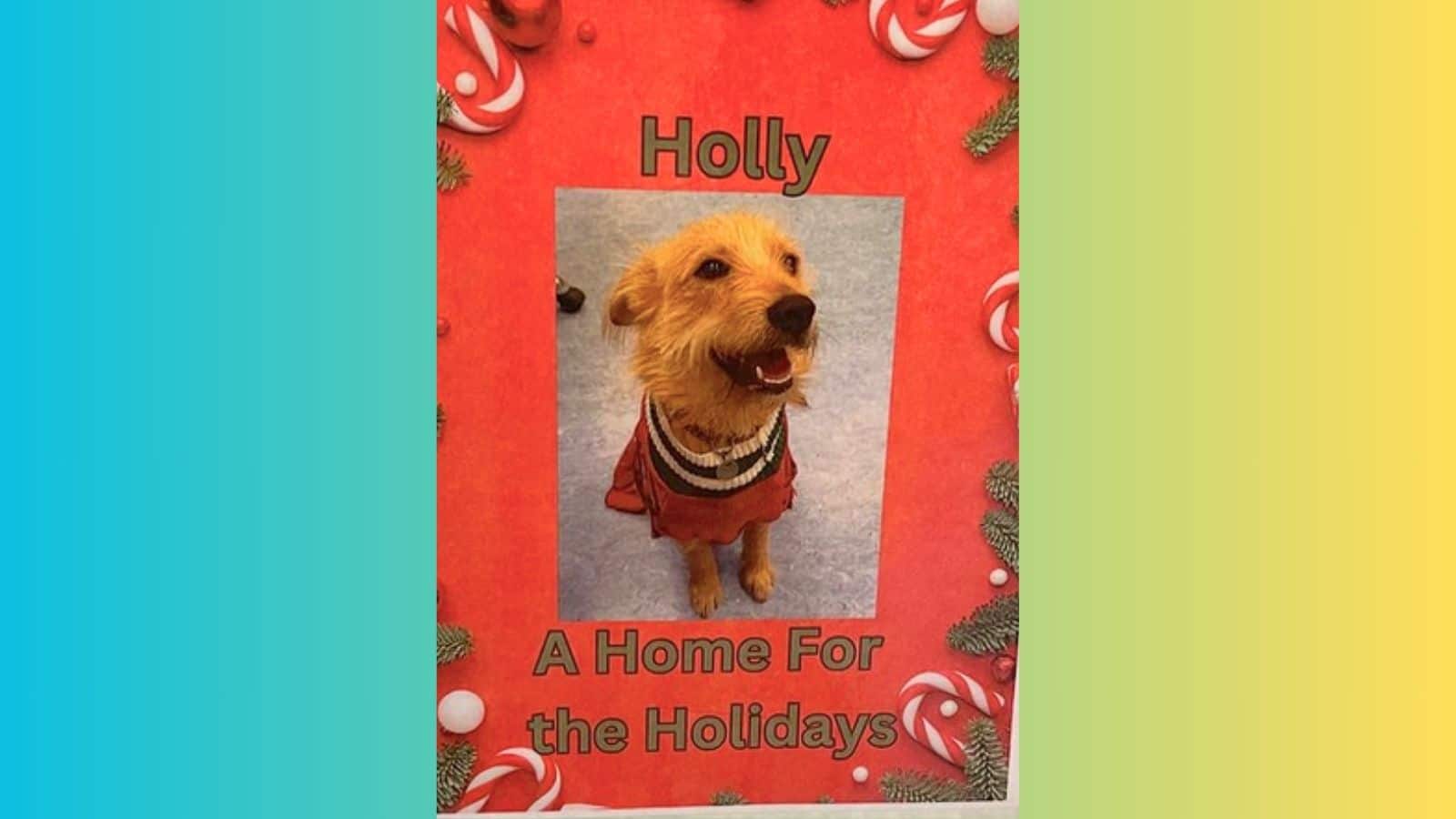Cameran Eubanks Welcomes a Shelter Dog into Her Family
