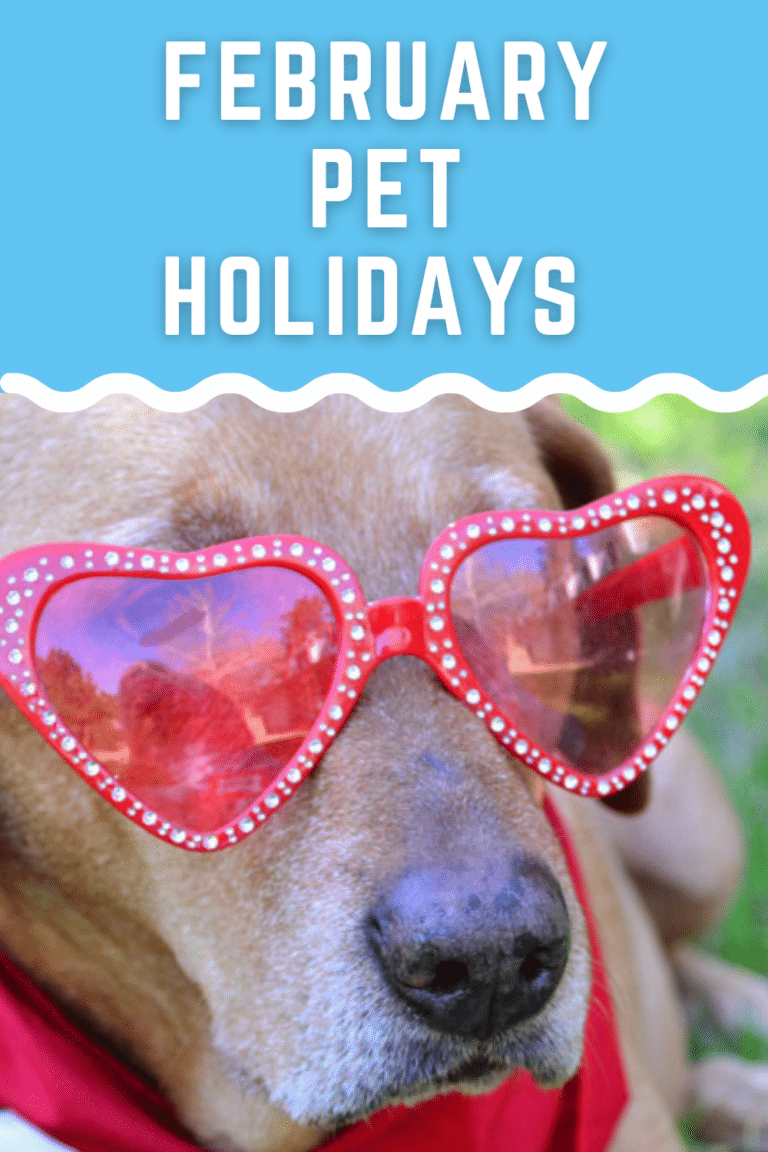 March 2026 Pet Holidays
