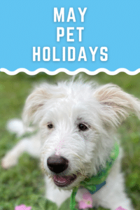 May 2026 Pet Holidays