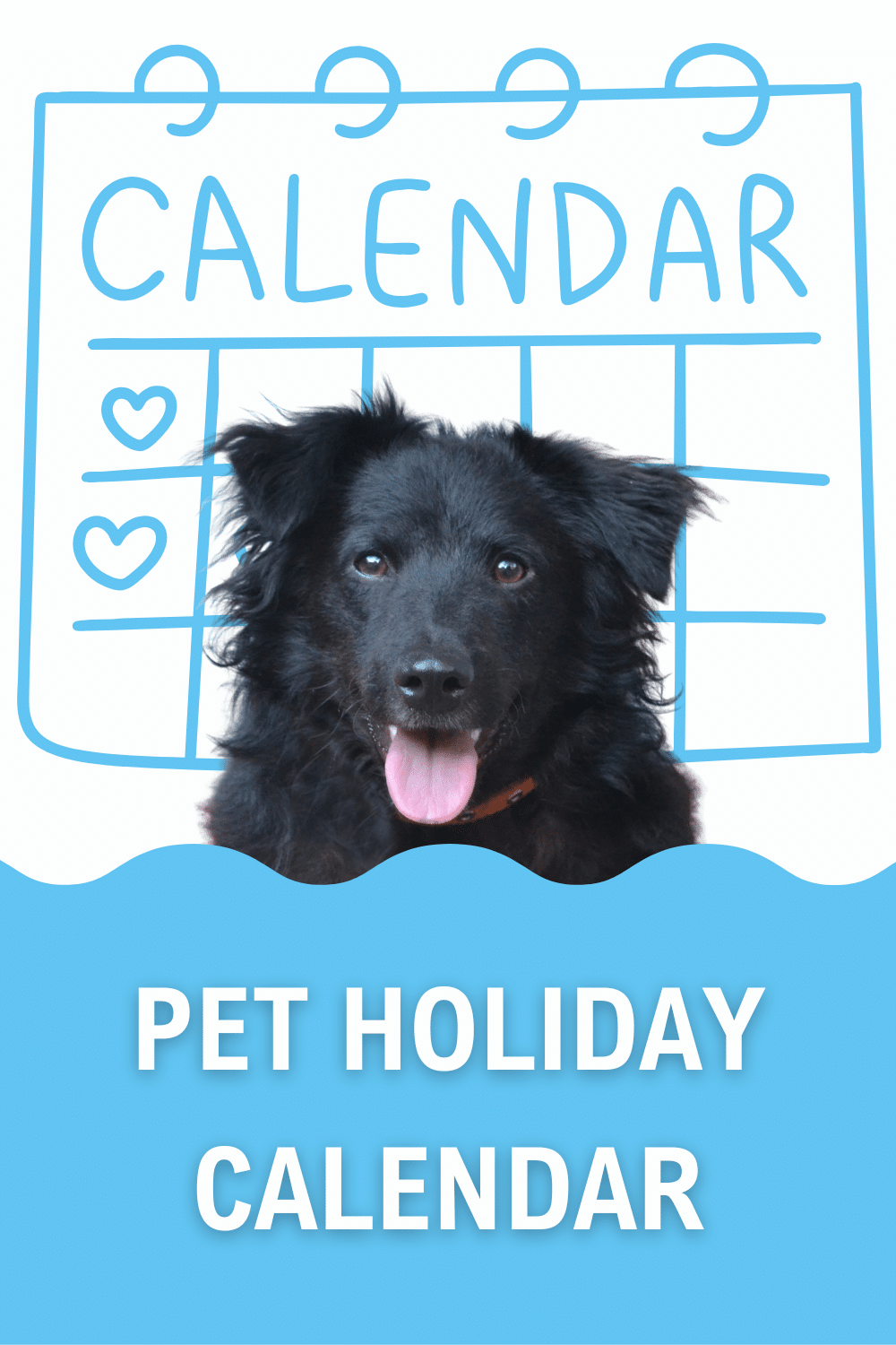 DogTipper: Tips for Celebrating Life with Your Dog!