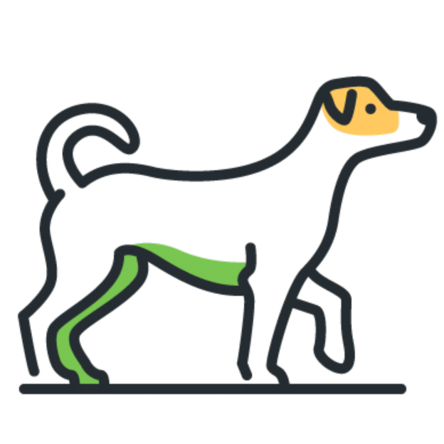 DogTipper: Tips for Celebrating Life with Your Dog!