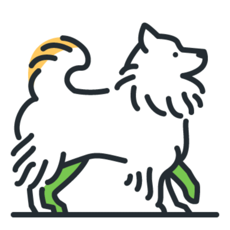DogTipper: Tips for Celebrating Life with Your Dog!